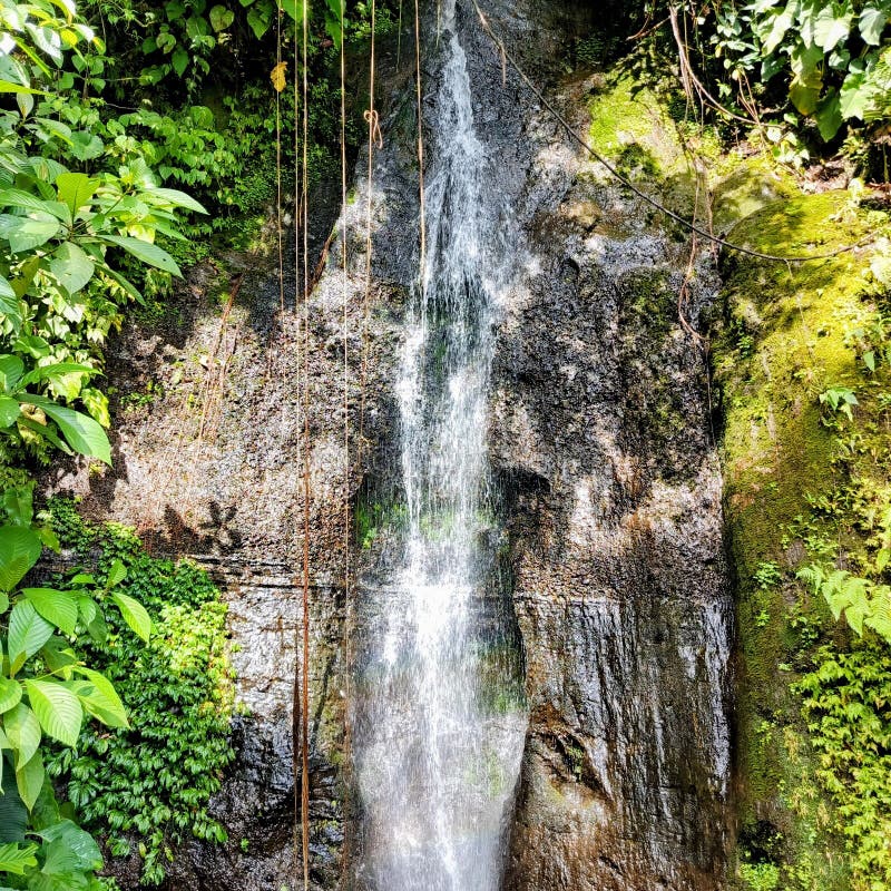 Beautiful Hidden Waterfall in the Rainforest. Stock Image - Image of ...