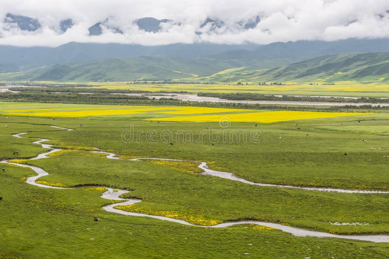 Beautiful highland pasture stock image. Image of painting - 27656217