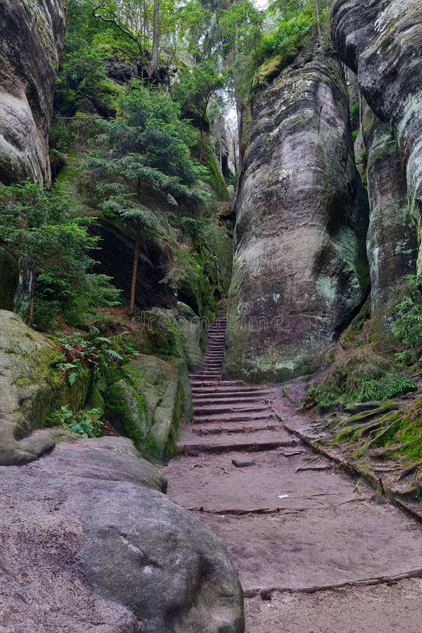 Beautiful Hiking Trail in the Forest in the Mountains. Stock Photo ...
