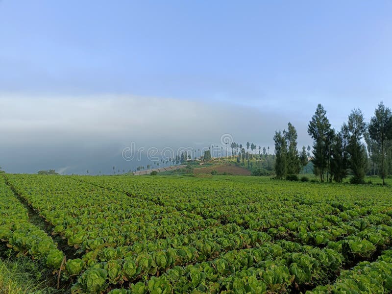 Beautiful hill side stock photo. Image of hill, beautiful - 276021112