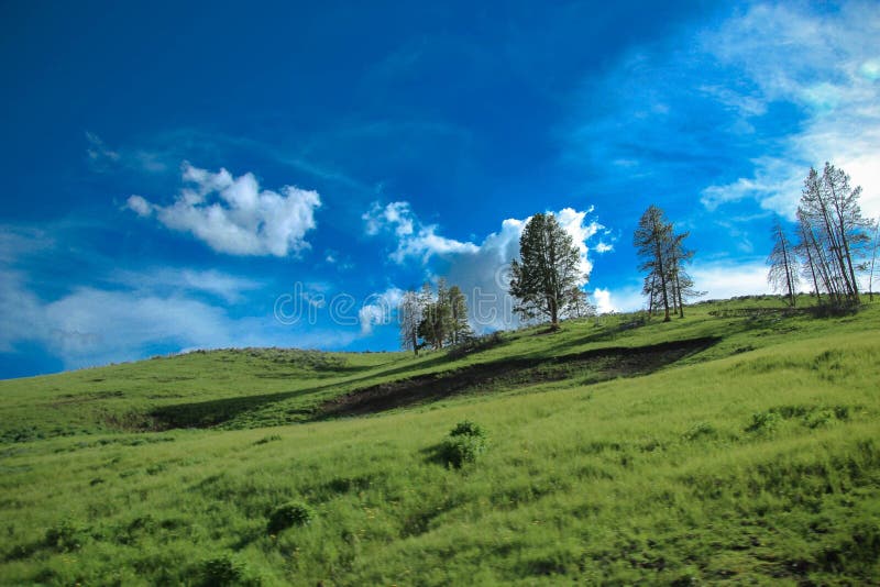 The Beautiful Hill at Yellowstone Stock Photo - Image of beautiful ...