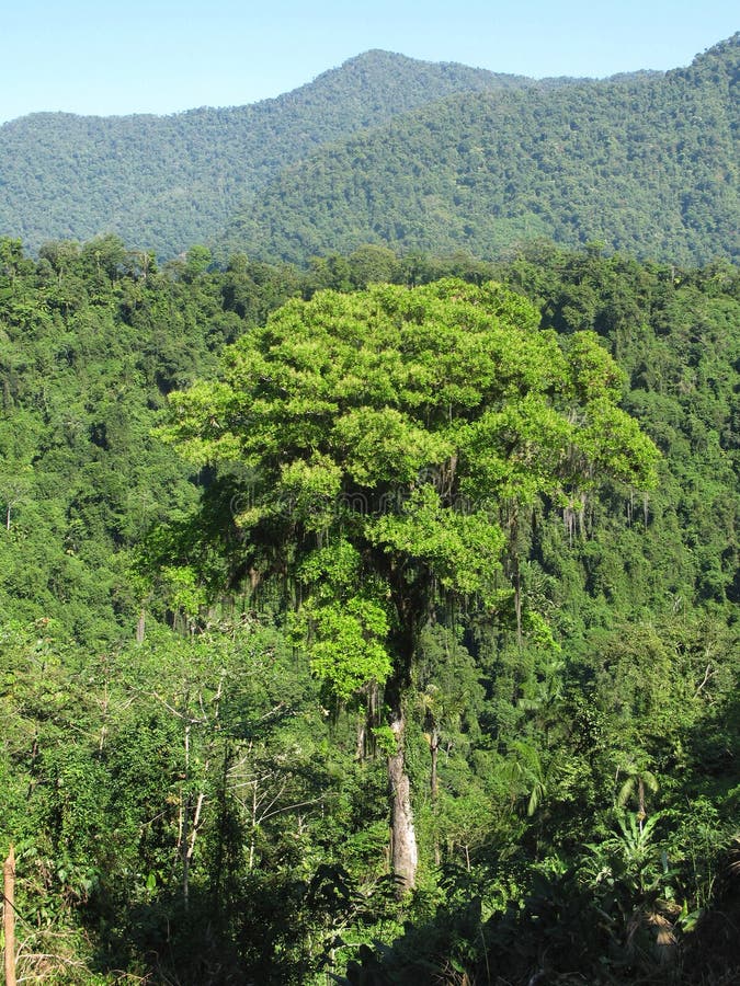 Beautiful hills stock image. Image of scenics, tree, tranquil - 5863869