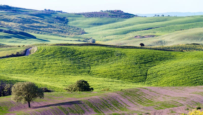 Beautiful Hills of Tuscany in Spring Stock Photo - Image of house ...