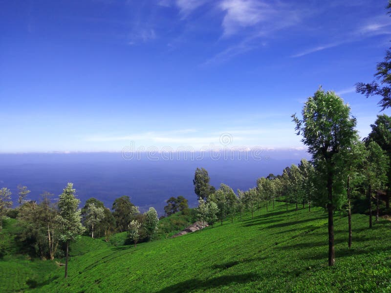 Hillside View Of Tranquility Beach Scene In Brac, Croatia Stock Image ...