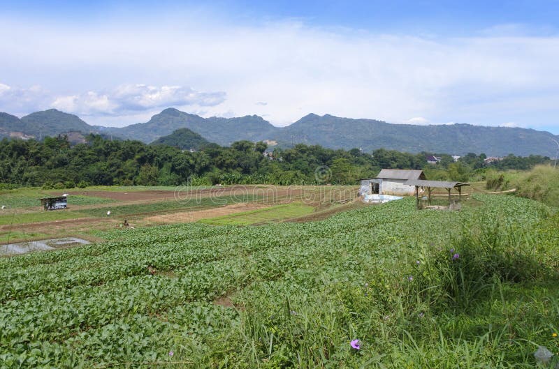 Beautiful Hilltop Under Blue Sky Stock Photo - Image of distance, guide ...