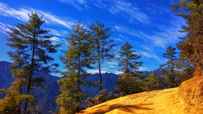 Beautiful Hilly Area with Trees and Blue Sky and Scattered Clouds Stock ...