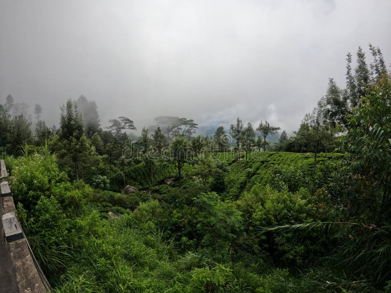 Beautiful Hilly Environment with Mist Stock Photo - Image of nature ...