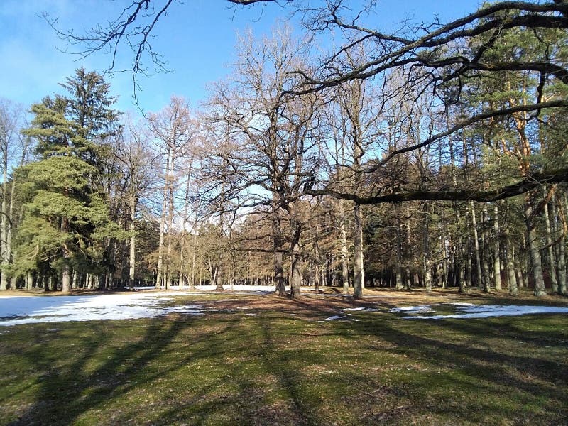 Beautiful Hilly Landscape of Fields, Meadows and Woods Stock Image ...