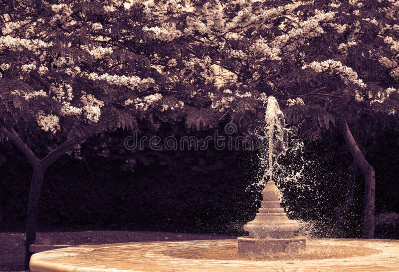 A Beautiful Historic Islamic Architectural Fountain and Design . Stock ...