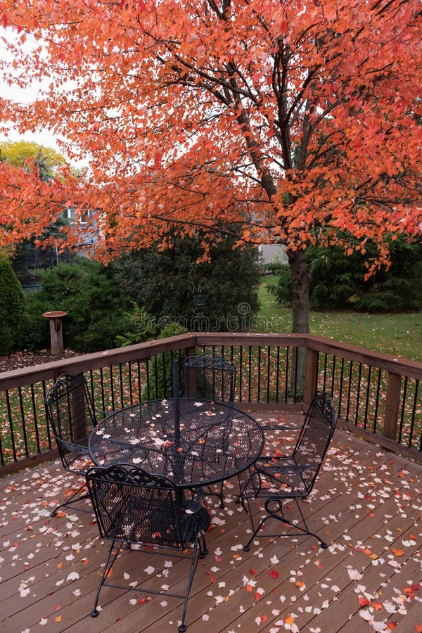 Beautiful Home Backyard Deck during Autumn with a Table and Chairs and ...