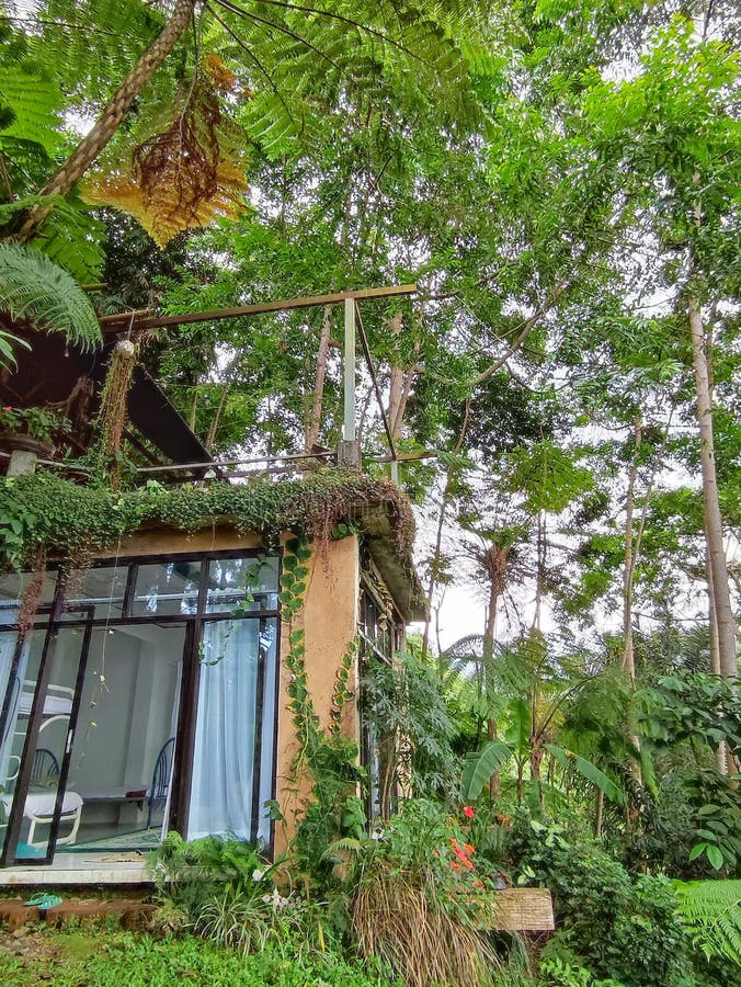 Beautiful Homestay Nature View at the Forest Stock Photo - Image of ...