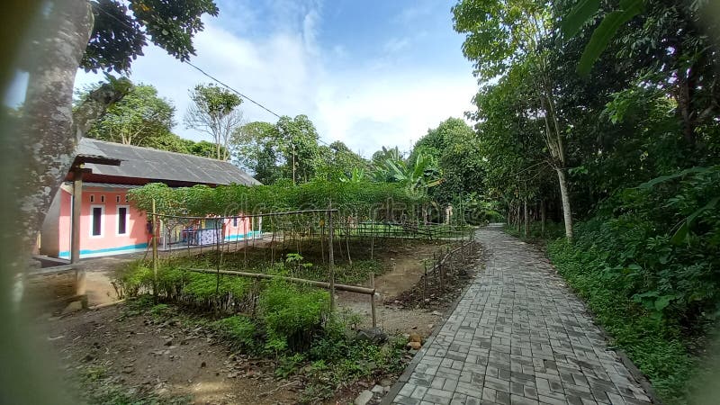 Beautiful Hometown Atmosphere Full of Green Leaves Stock Photo - Image ...