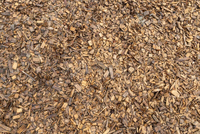 Beautiful Horizontal Texture of Brown Bark and Wood Chips of Conifer ...