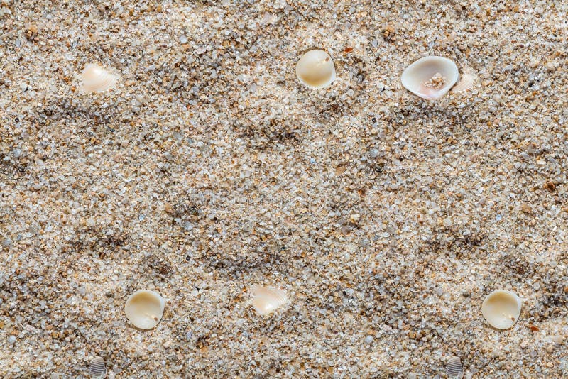 Beautiful Horizontal Texture of Yellow Sand with Waves and Shells is in ...
