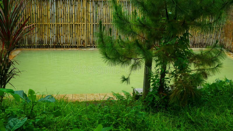 Beautiful Hot Spring Pool with Green Plants Stock Image - Image of ...