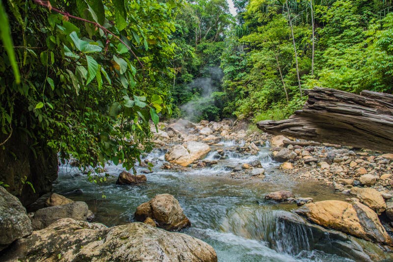 Beautiful Hot Springs in the Jungle Stock Photo - Image of hotsprings ...