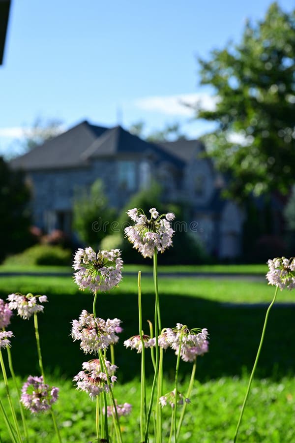Beautiful House, Montreal, Canada and Street Stock Photo - Image of ...