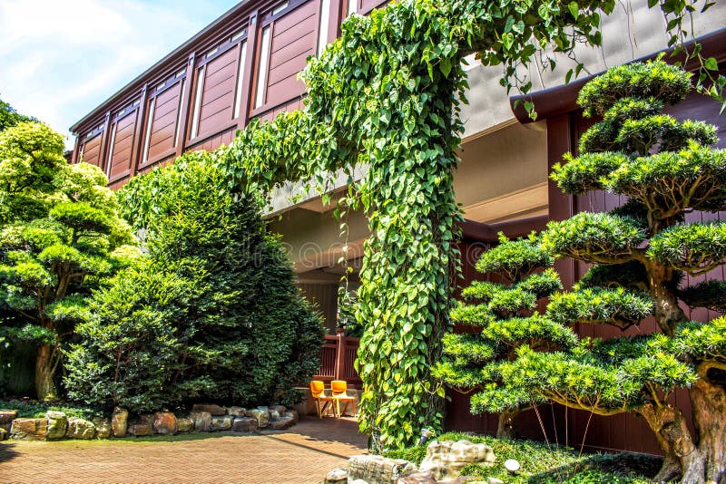 Beautiful House with Plant Theme Stock Image - Image of building ...