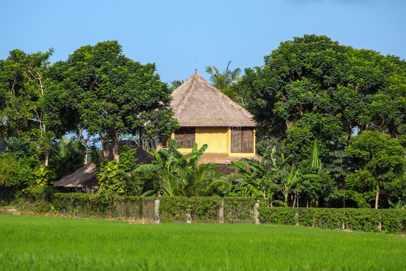 Beautiful House on Rice Fields in Ubud, Bali Stock Photo - Image of ...