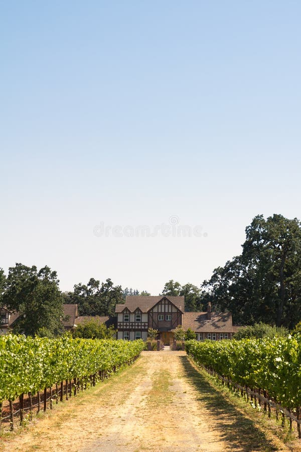 Beautiful House in a Vineyard Stock Photo - Image of mansion, rural ...
