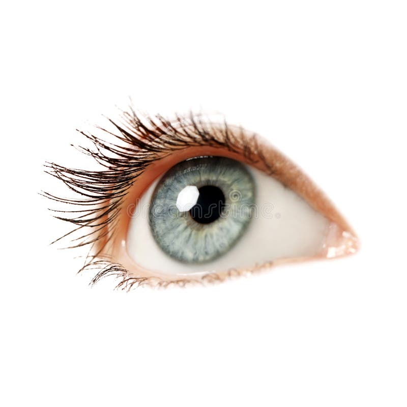 Beautiful Human Eye Isolated on White, Closeup Stock Photo - Image of ...