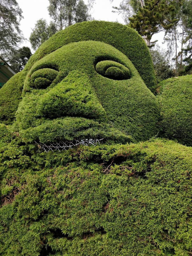 Beautiful Human Face Made from Plants Stock Photo - Image of artists ...