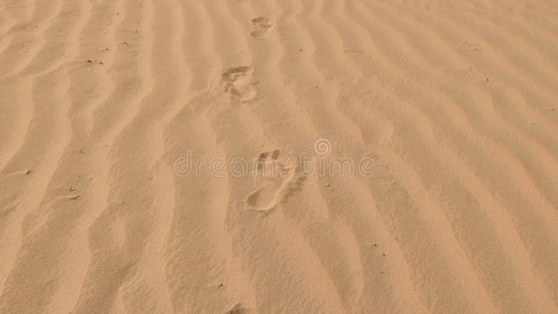 Footprints in deserts stock image. Image of footprints - 20650867