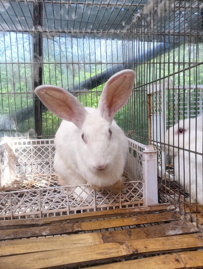 Hycole Stock Photos - Free & Royalty-Free Stock Photos from Dreamstime