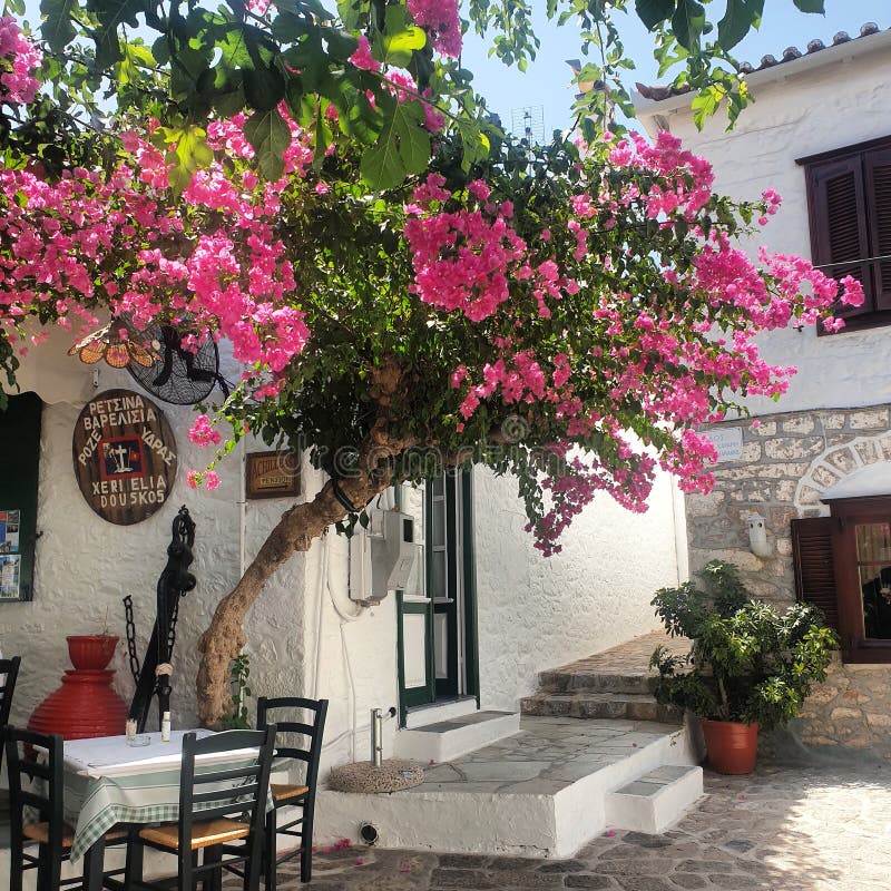 Beautiful Hydra island editorial image. Image of yard - 246388450