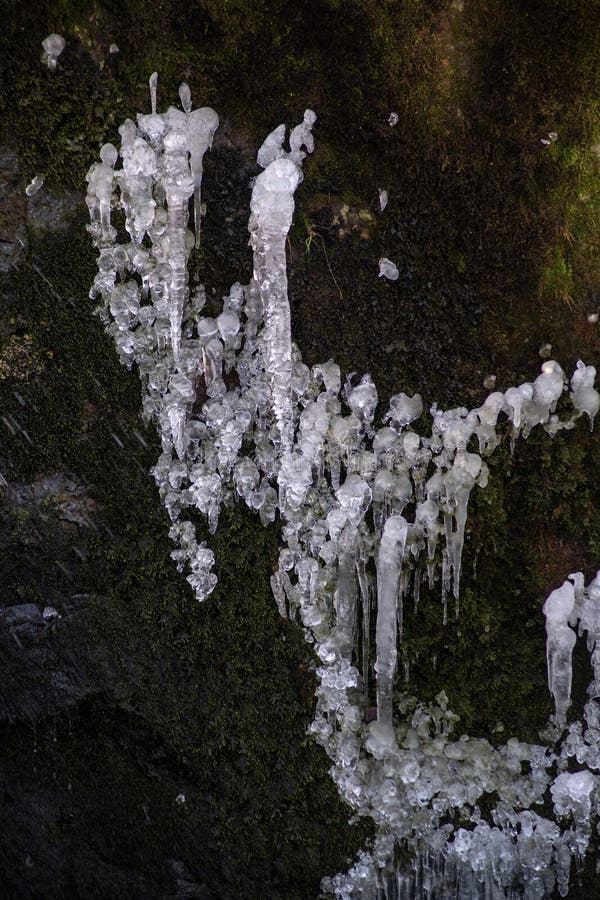 Beautiful Ice Patterns in Nature Stock Image - Image of frost, droplet ...