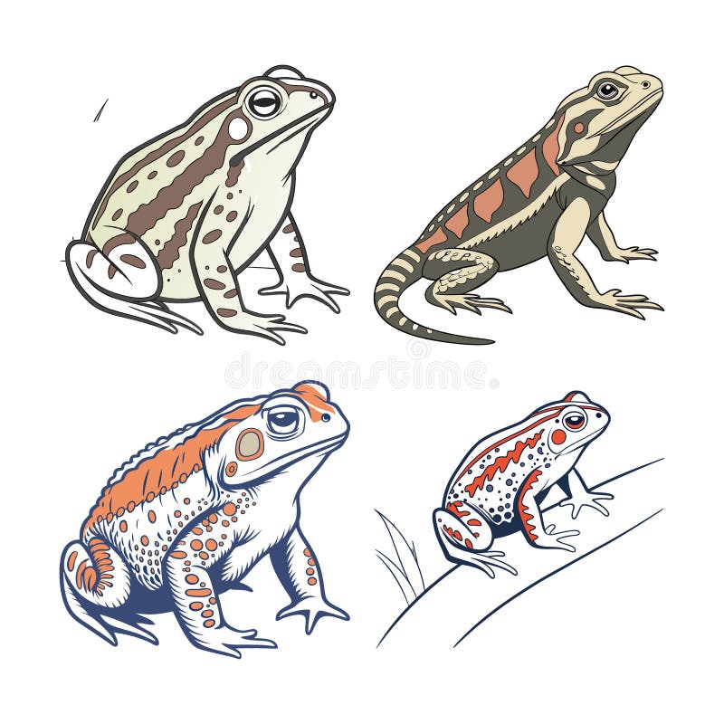 Realistic Colchic Toad Beautiful Wildlife Illustration Stock Vector ...