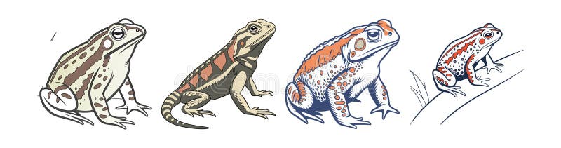 Realistic Colchic Toad Beautiful Wildlife Illustration Stock Vector ...