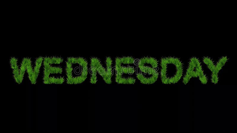 Beautiful Illustration of Wednesday Text with Green Grass Effect on ...