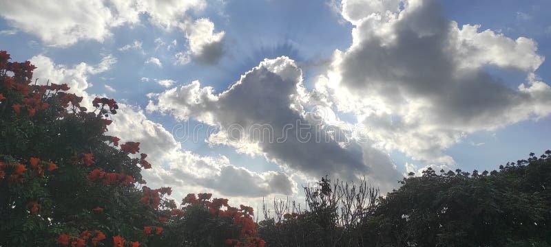 Beautiful Image of Clouds with Trees Morning View Stock Image - Image ...