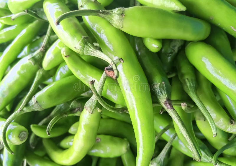 Beautiful Image of Green Chilli in Market Stall for Sell India Stock ...