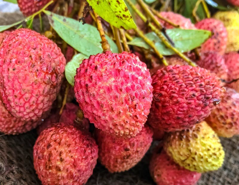 Beautiful Image of Lychee Fruits India Stock Image - Image of beautiful ...