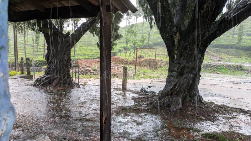 Beautiful Image of Mist, Nature and Rain Stock Photo - Image of ...