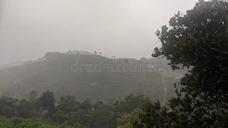 Beautiful Image of Mist, Nature and Rain Stock Photo - Image of haze ...