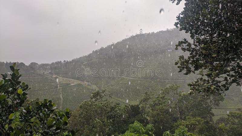 Beautiful Image of Rainfall Stock Photo - Image of hill, plant: 192959484