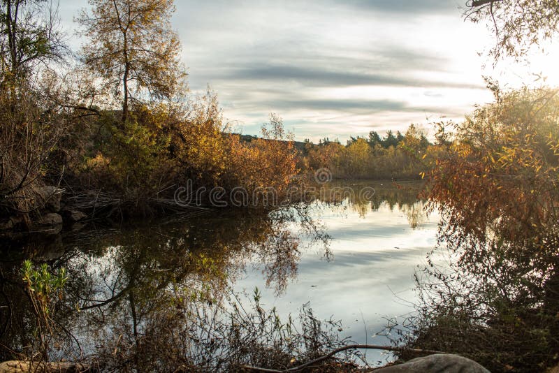Beautiful Image of a Small Lake Surrounded by Trees Stock Image - Image ...
