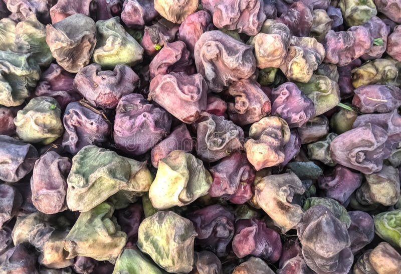 Beautiful Image of Water Chest Nut Fruits in Market Stall India Stock ...