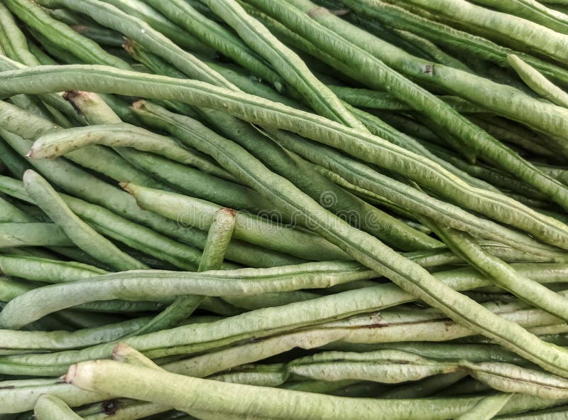 Beautiful Image of Yard Long Beans Indian Market India Stock Photo ...
