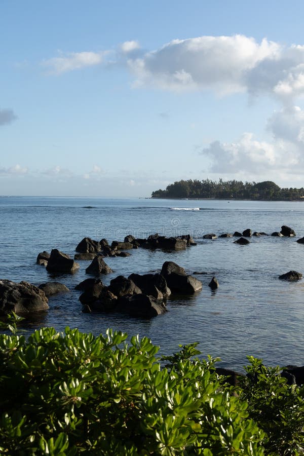 Beautiful Indian Ocean with Foreground Vegetation, Black Rocks, Stock ...