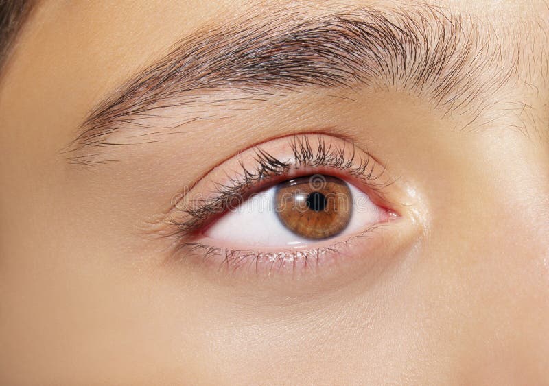 Beautiful Insightful Look Brown Eyes. Close Up Shot. Stock Image ...