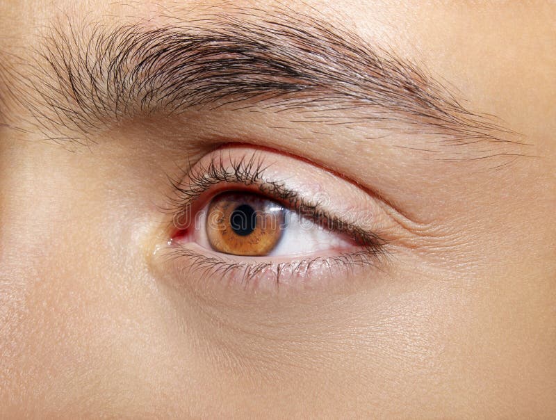 Beautiful Insightful Look Brown Eyes. Close Up Shot. Stock Image ...