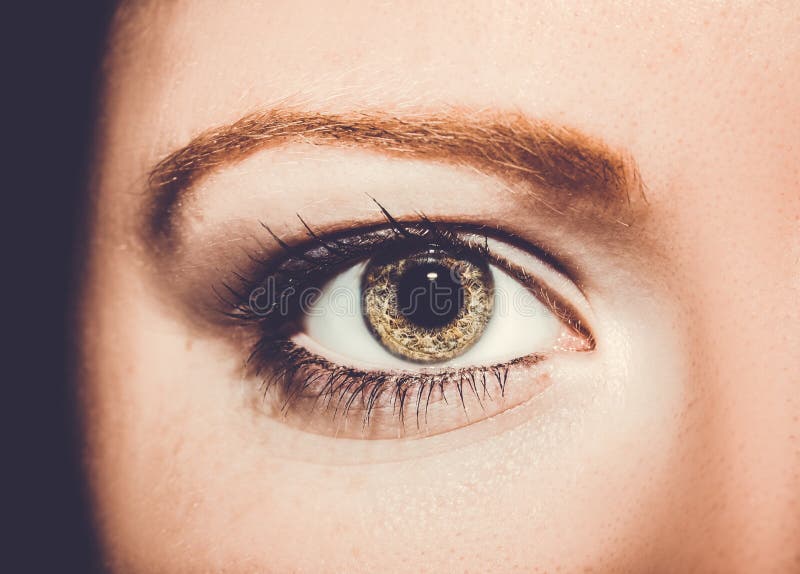 A Beautiful Insightful Look Eye. Close Up Shot. Stock Image - Image of ...