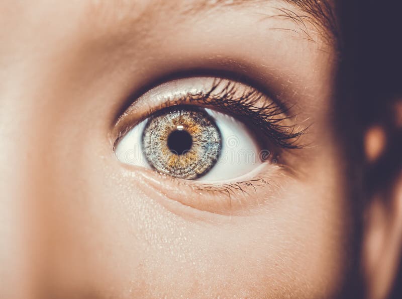 A Beautiful Insightful Look Eye. Close Up Shot. Stock Image - Image of ...