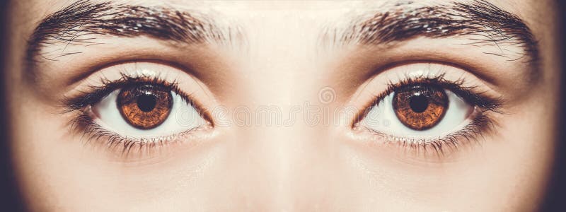 A Beautiful Insightful Look Eye. Close Up Shot. Stock Photo - Image of ...