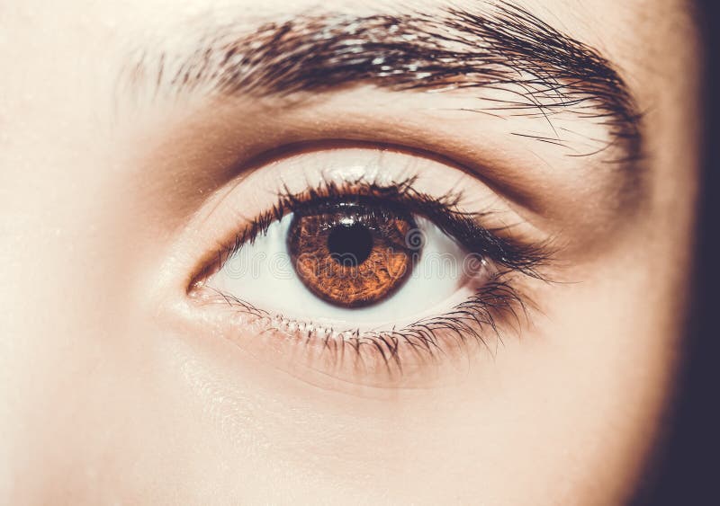 A Beautiful Insightful Look Eye. Close Up Shot. Stock Image - Image of ...