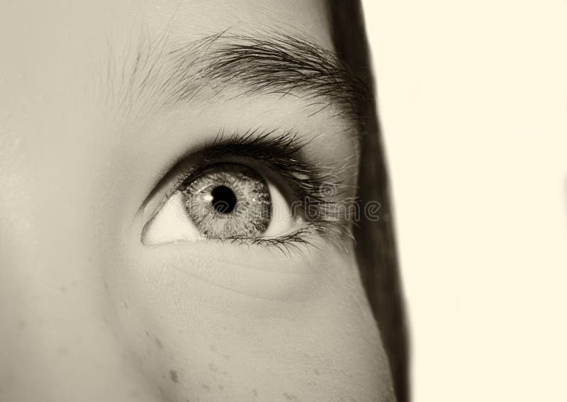 A Beautiful Insightful Look Eye. Stock Image - Image of human, brown ...